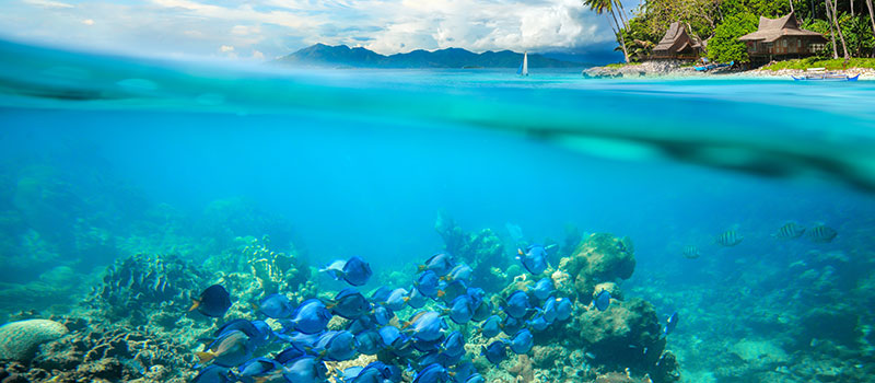 Monitoring Reefs, Pollution, and Mariculture in the Philippines ...