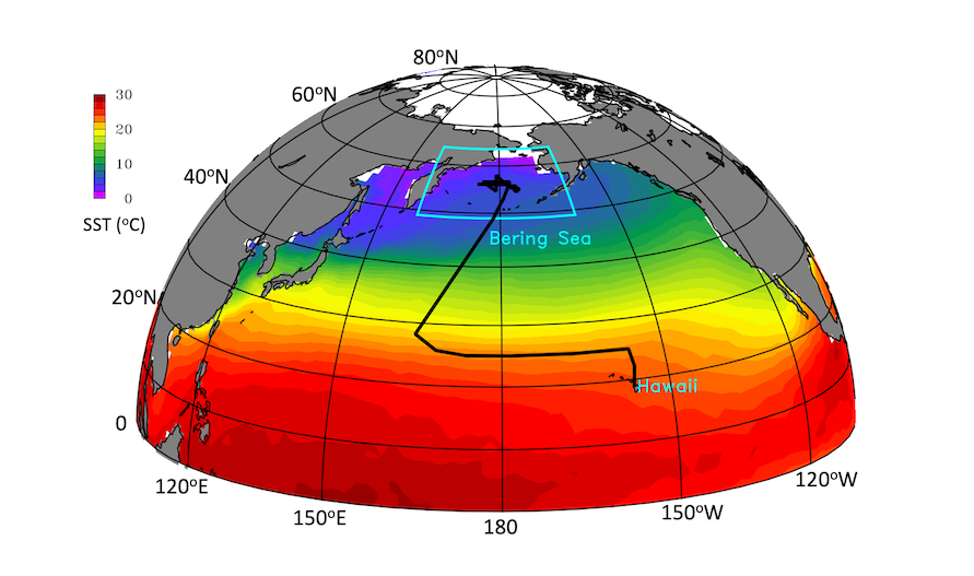 Unexpected Detour Showcases Wave Glider’s Long-Duration Capability ...